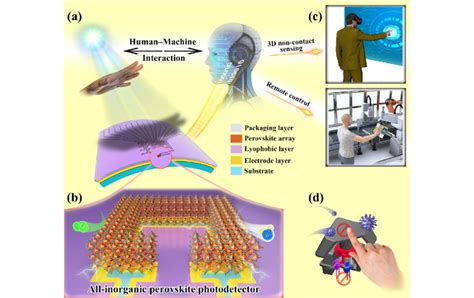 Schematic Of Cspbbr 3 Photodetector Array Based Human Machine