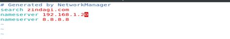 How To Configure DNS Server In Linux OS In Simple Steps Zindagi Technologies