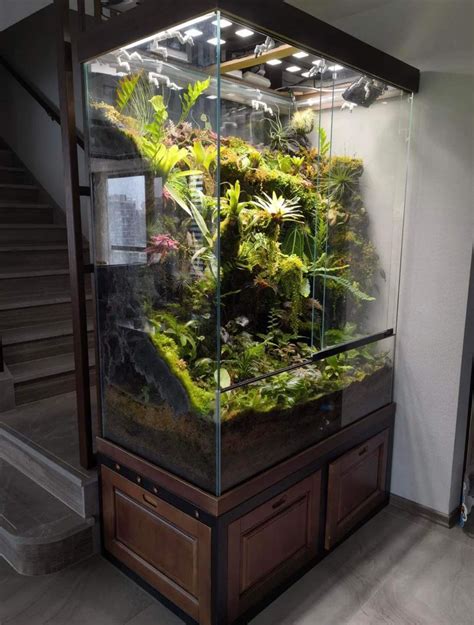 Diy Miniature Vivarium Terrarium For Small Spaces