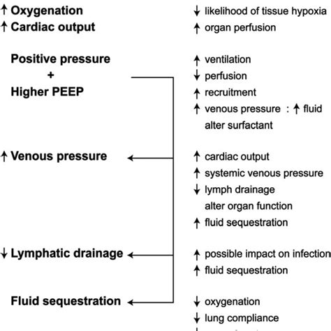 The Effects Of V Q Mismatch On Gas Exchange Adapted From The