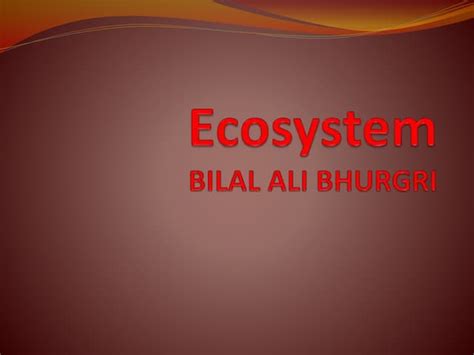 Eco 1 Pptx English Language And Literature Ppt