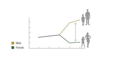 Why It Is Important To Sex Disaggregate Data In Quality Improvement YouTube