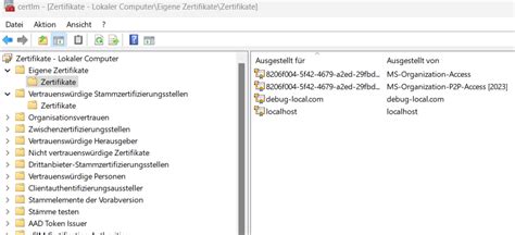 Debug Azure Function Locally With On A Custom Domain