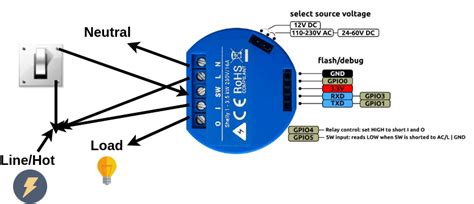 Wiring The Shelly Plus 1 Relay Hometechhacker