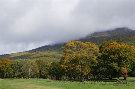 上越妙高 紅葉情報2023笹ヶ峰高原周辺 色づき始め 撮影 10月12日 木 雪国ジャーニー
