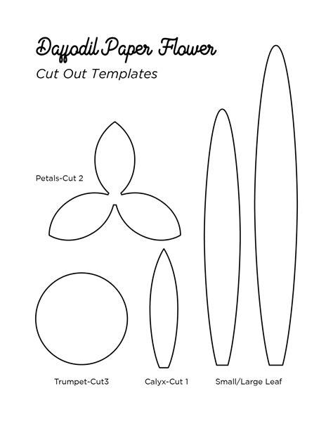 Lily Flower Template Printable Best Flower Site