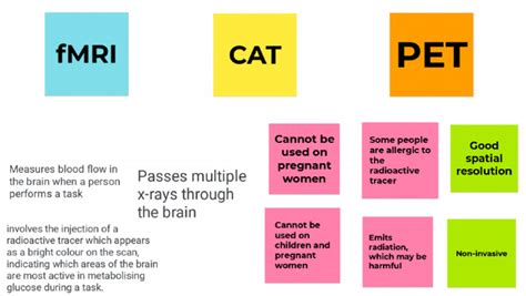 Activity Card Sort Brain Scanning Pdf