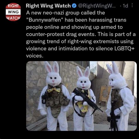 Move Over Boog Bois Introducing Bunnywaffen General Discussion Ar15com