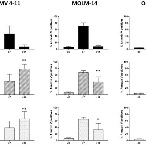 Inhibition Of Autophagy Enhances Apoptosis Of Flt3 Itd Aml Cells Aml