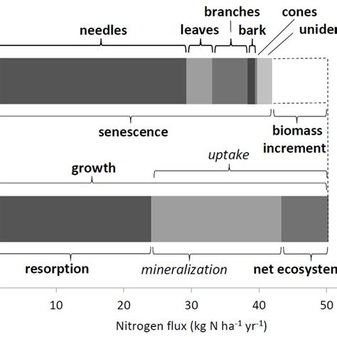 annual inputs and outputs of nitrogen n from the perspective of trees