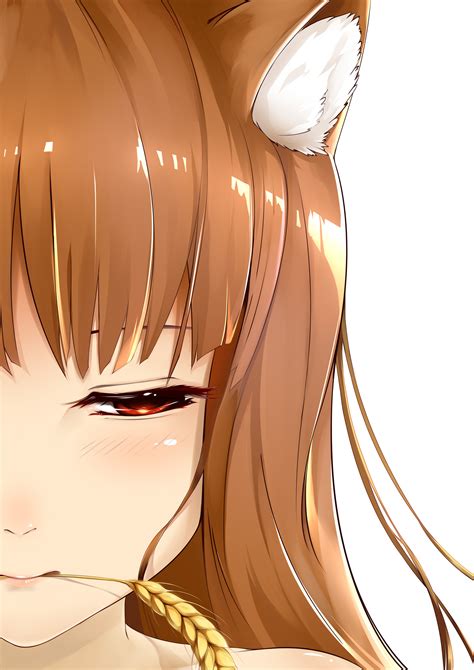 Spice And Wolf Holo Horo