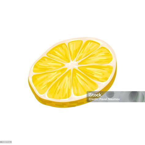 밝은 노란색 레몬의 라운드 쪼 갠 다입니다 육즙과 달콤한 과일입니다 천연 감귤 류 제품입니다 사탕 또는 차 포장에 대 한 그래픽 디자인 요소입니다 자세한 벡터 일러스트 레이