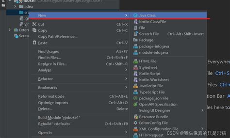 Java初学者入门：使用idea创建并运行第一个程序 Csdn博客