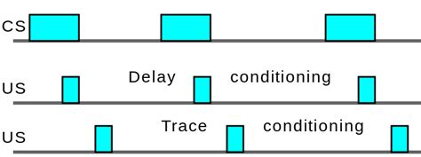 File Delay Trace Conditioning Svg Wikimedia Commons