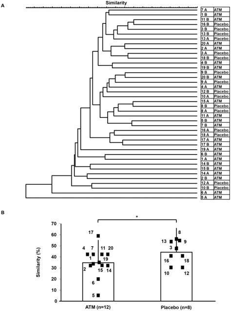 A The Similarity Dendrogram Was Constructed Using A Binary