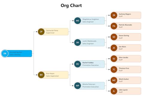 Create Professional Process Maps Or Flow Charts By Oblapreetham Fiverr