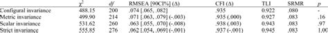 Multiple Group Confirmatory Factor Analysis Models For Testing