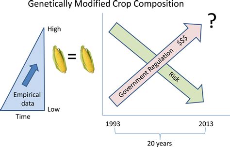 Genetically Modified Soybeans Process At Jason Quinn Blog