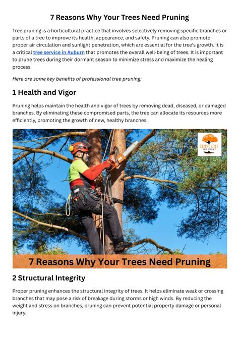 PPT 7 Reasons Why Your Trees Need Pruning PowerPoint Presentation Free Download ID 12267191