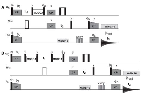 A Schematic Representation Of The Pulse Sequence For The 1 Download Scientific Diagram