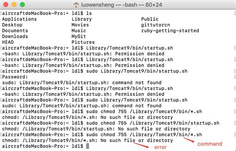 当sudo chmod 755 library tomcat9 bin sh发生时出现错误 程序员大本营