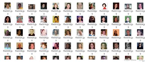 Python人脸笑脸识别【人工智能】【cnn】python 微笑识别模型下载 Csdn博客