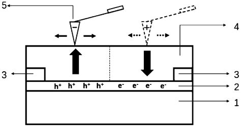 Mote2 In Plane Pn Junction Through Ferroelectric Domain Regulation And