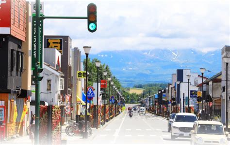 북해도 삿포로 비에이 And 후라노 1일 버스투어