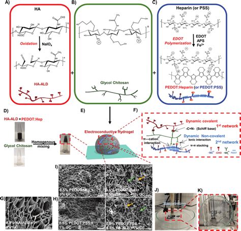 Characteristics Of The Dual Cross Linked Electroconductive