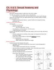 Understanding Sexual Anatomy Variations In Genitalia And Course Hero