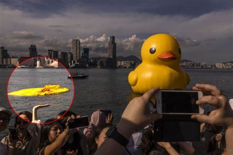 10년 만에 홍콩 간 러버덕…폭염에 바람 빠진 신세 아시아경제