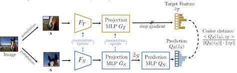 Self Supervised Learning Reading Note Qiang Zhang