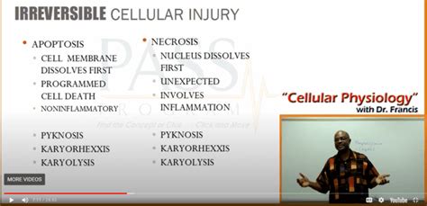 Pass Program Usmle Review 2025 Is It Worth It