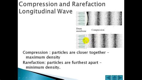 What Is Compression And Rarefaction At Isabel Spiegel Blog