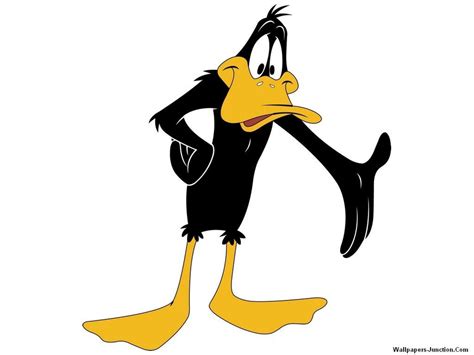 Daffy Duck Wallpapers Wallpaper Cave