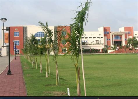 Best Colleges In Indore A Complete Overview