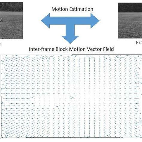 Inter Frame Block Motion Vector Field Resulting From Motion Estimation Download Scientific