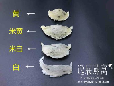燕窝颜色有哪些 5分钟带你看懂白 黄和红燕窝的区别究竟哪种好 逸展燕窝