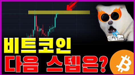 비트코인 지금 상승은 이렇게 보세요 비트코인 이더리움 리플 Youtube
