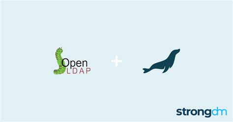Using Openldap Connect To Mariadb Strongdm