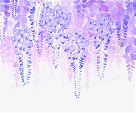 手绘紫藤花图片免费下载png素材编号z7rijq8ge图精灵