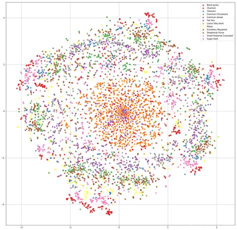 Python进行图片t Sne降维可视化tsne图片一样大 Csdn博客