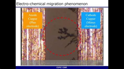 Electro Chemical Migration Phenomenon With Narration Espec Youtube