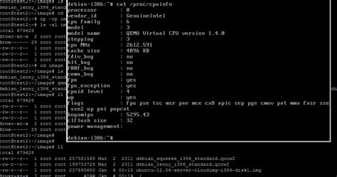 The Systems Engineer Organized Chaos Using Qemu On Cloud Server To Run