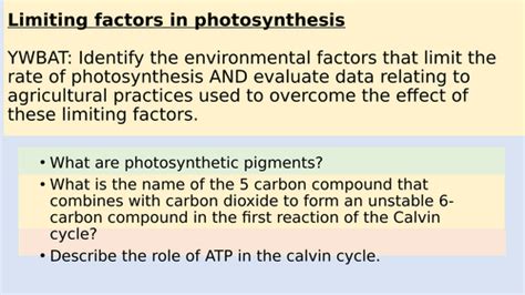 A Level Biology Limiting Factors In Photosynthesis Lesson Teaching