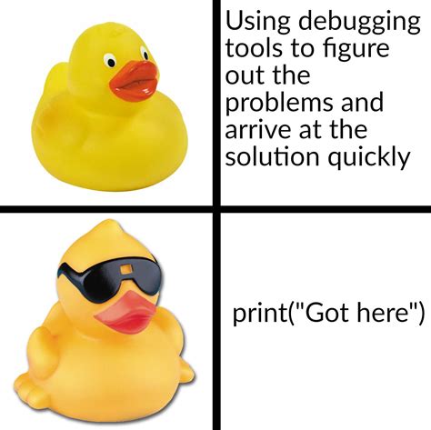 duck duck debug r programmerhumor