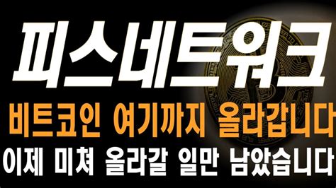 피스네트워크 코인 십년에 한번 올까 말까 한 인생 역전 기회 피스네트워크코인피스네트워크코인전망피스네트워크코인분석