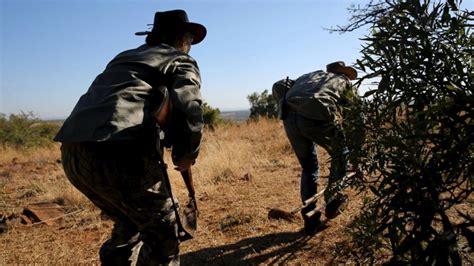 Beyond Cecil The Lion Trophy Hunting Industry In Africa Explained