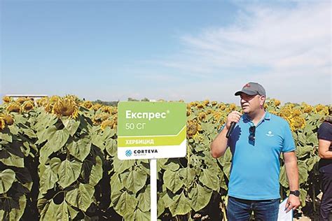 За младите посеви чистите от плевели полета са важно условие за успешно производство Български