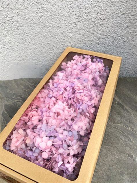 ᐉ Стабілізовані квіти в Києві купити в Епіцентр К • Ціна в Україні